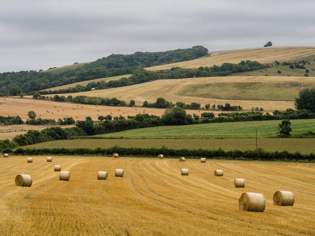 Harvest time | Foot Trails
